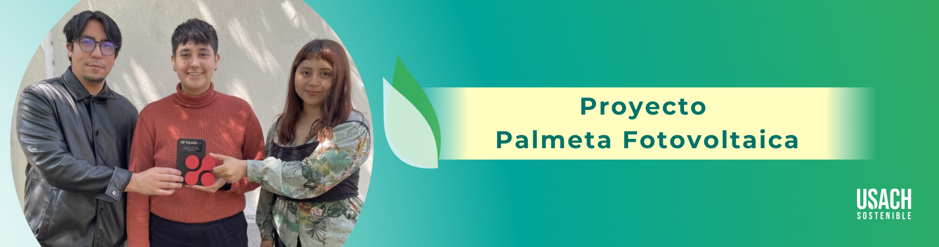 Proyecto Palmeta Fotovoltaica | Usach Sustentable